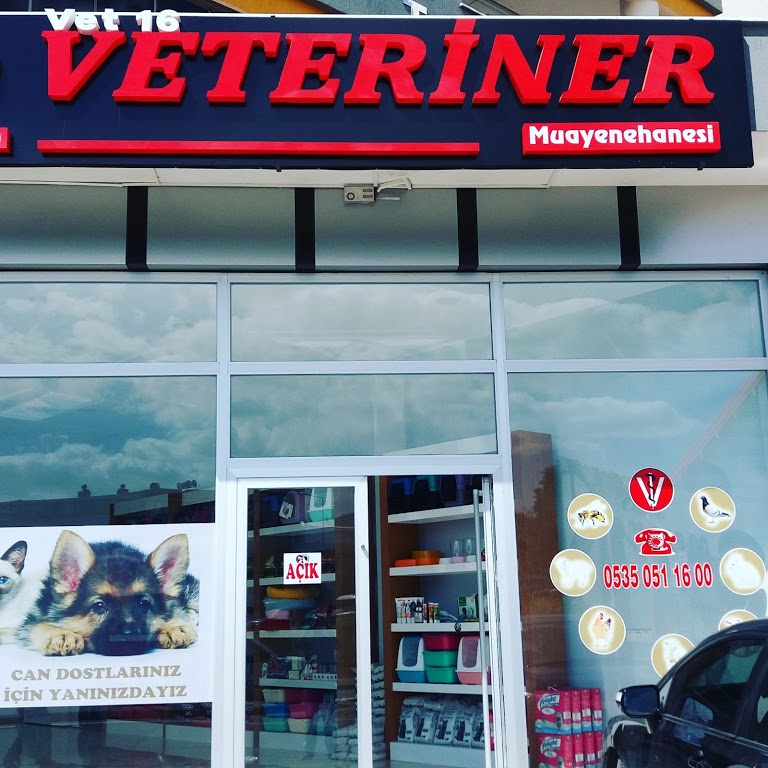 Vet 16 Veteriner Kliniği - Veteriner Bul