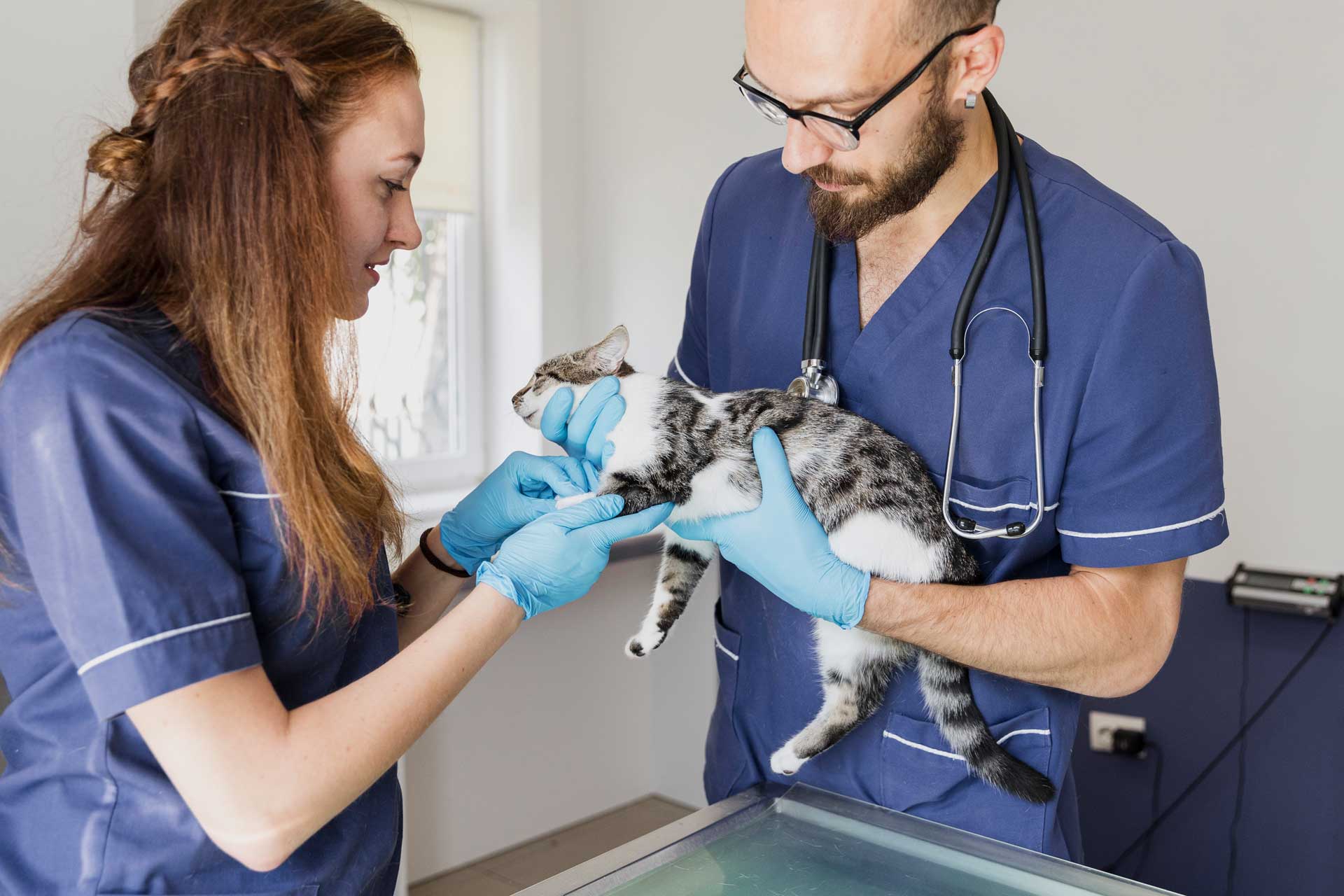 Veteriner Klinikleri Çalışma Saatleri - 2024 Veteriner Bul